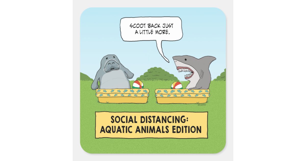 Funny Shark and Manatee Social Distancing Square Sticker | Zazzle