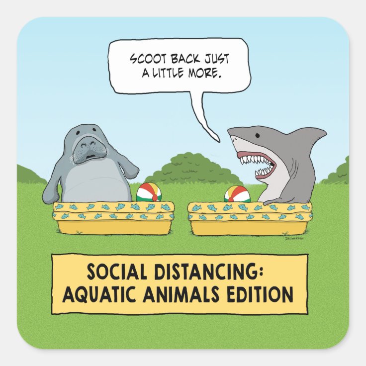 Funny Shark and Manatee Social Distancing Square Sticker | Zazzle