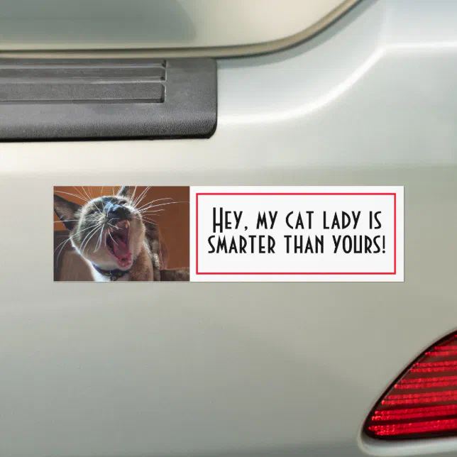 Funny Siamese Kitten Custom Photo Template Bumper Sticker | Zazzle