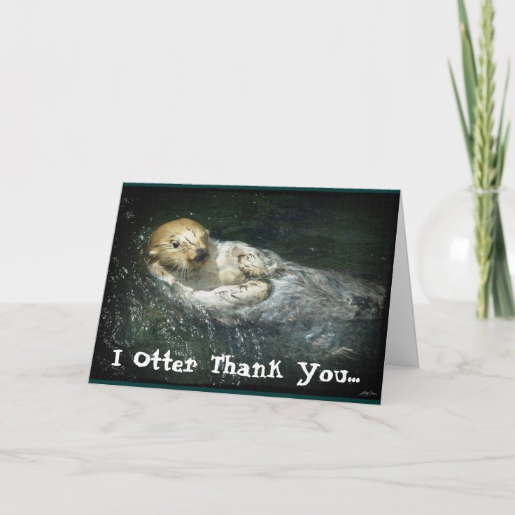 Funny Sleeping SEA OTTER Thank You Card | Zazzle