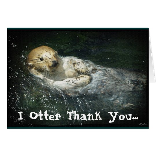 Funny Sleeping SEA OTTER Thank You Card | Zazzle.com
