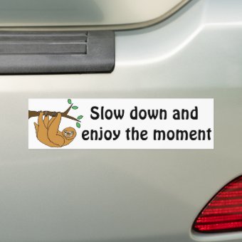 Funny Sloth Cartoon Bumper Sticker | Zazzle