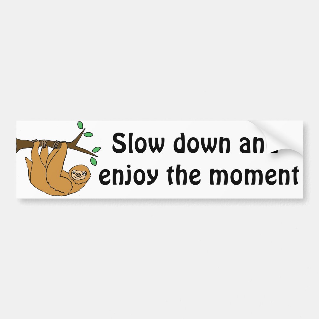 Funny Sloth Cartoon Bumper Sticker | Zazzle