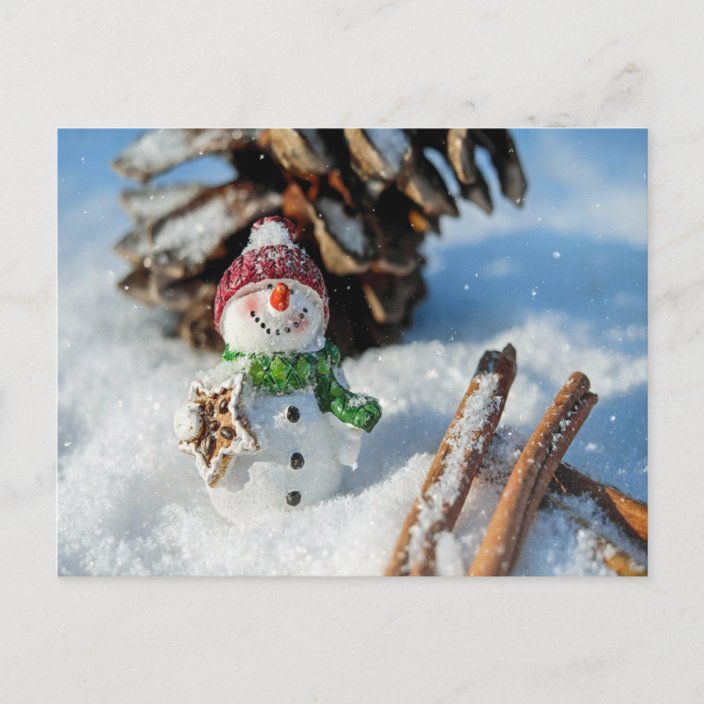 Funny snowman eating treats postcard | Zazzle.com