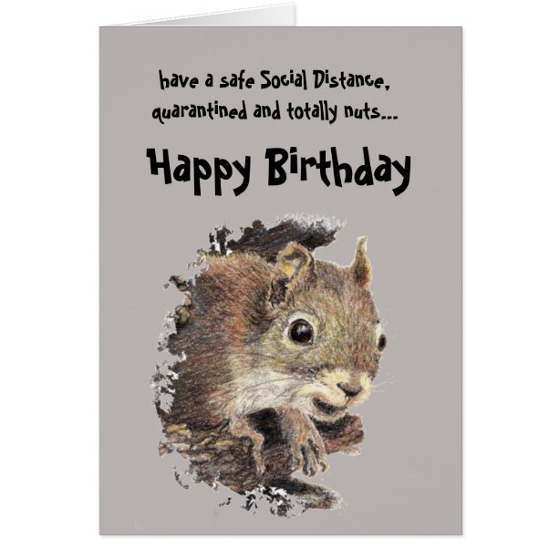 Funny Squirrel Birthday Cards | Zazzle