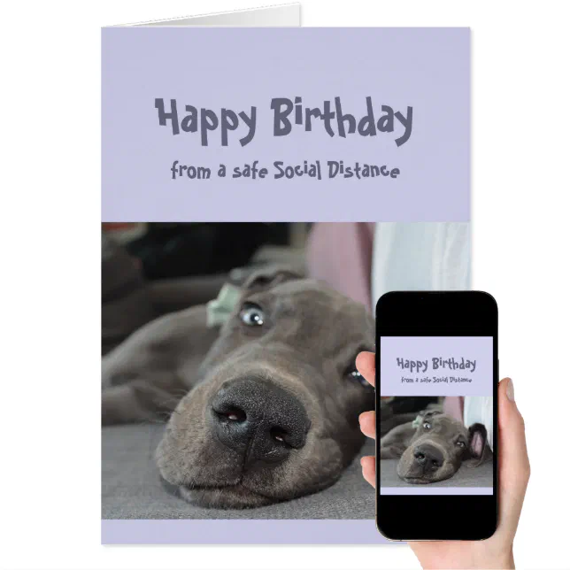 Funny Social Distancing Birthday Great Dane Dog | Zazzle
