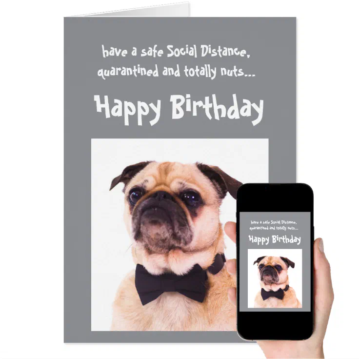 Funny Social Distancing Birthday Well Dressed Dog | Zazzle