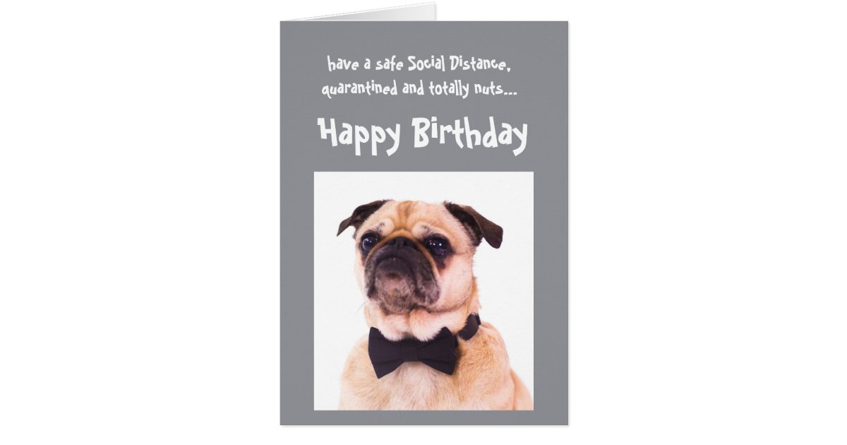 Funny Social Distancing Birthday Well Dressed Dog | Zazzle