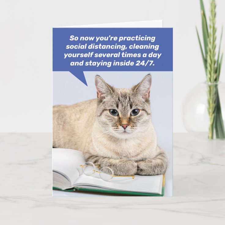 Funny Social Distancing House Cat- Coping Card | Zazzle
