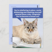 Funny Social Distancing House Cat Postcard | Zazzle