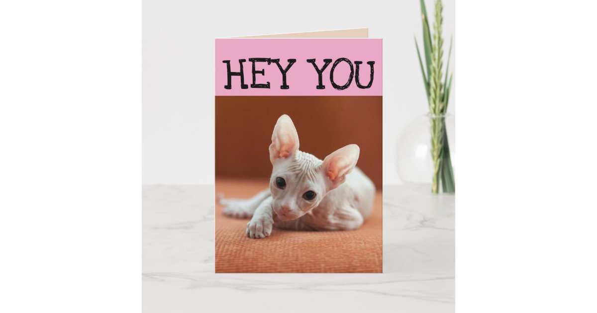 FUNNY SPHYNX CAT BIRTHDAY GREETING CARDS | Zazzle