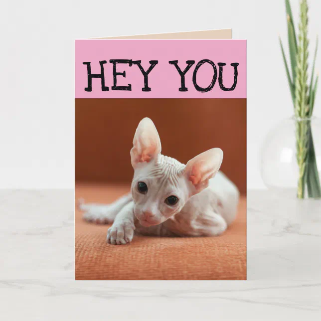 FUNNY SPHYNX CAT BIRTHDAY GREETING CARDS | Zazzle