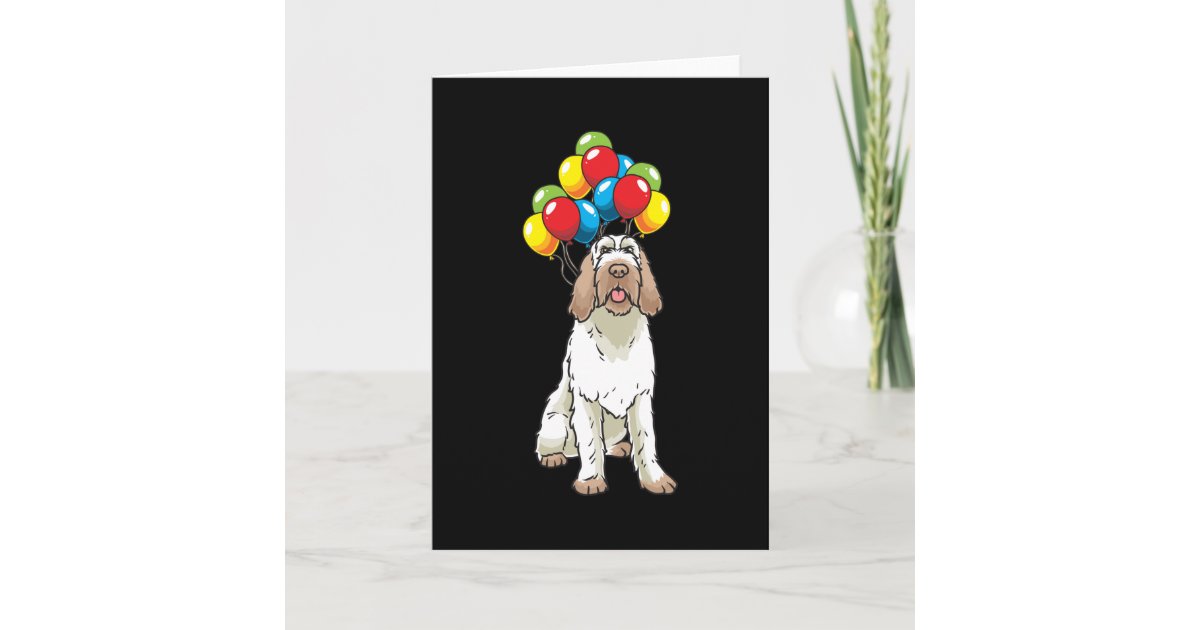 Funny Spinone Italiano Dog With Balloons Card | Zazzle