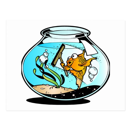 Funny Spring Cleaning Fish Postcard | Zazzle.com