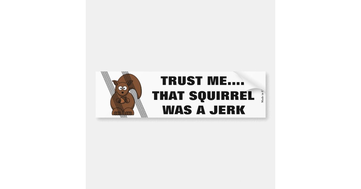 Funny Squirrel Bumper Sticker | Zazzle