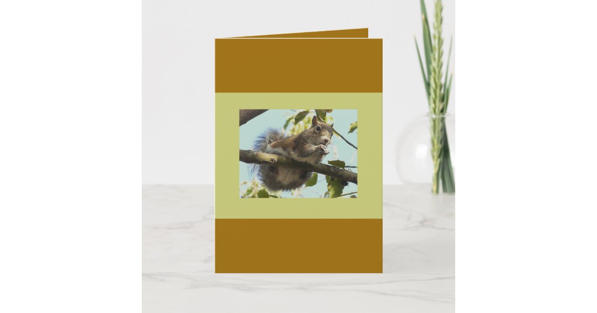 Funny Squirrel Card | Zazzle