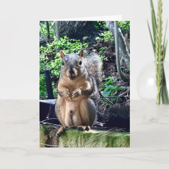 Funny Squirrel Deez Nuts Custom Text Birthday Card | Zazzle