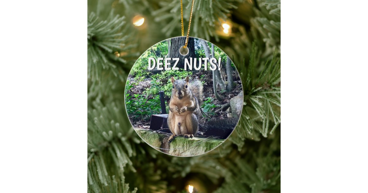 Funny Squirrel Deez Nuts Inappropriate Humor Photo Ceramic Ornament | Zazzle