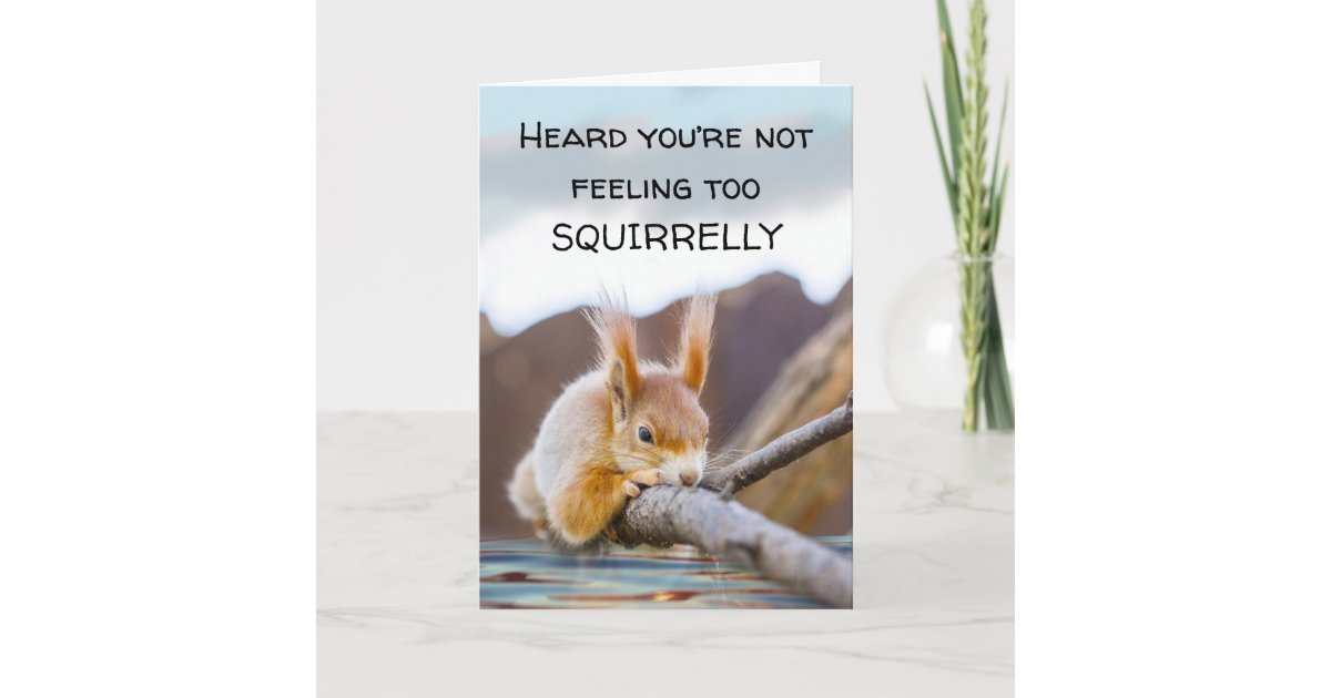 Funny Squirrel Feel Better Get Well Soon Card | Zazzle