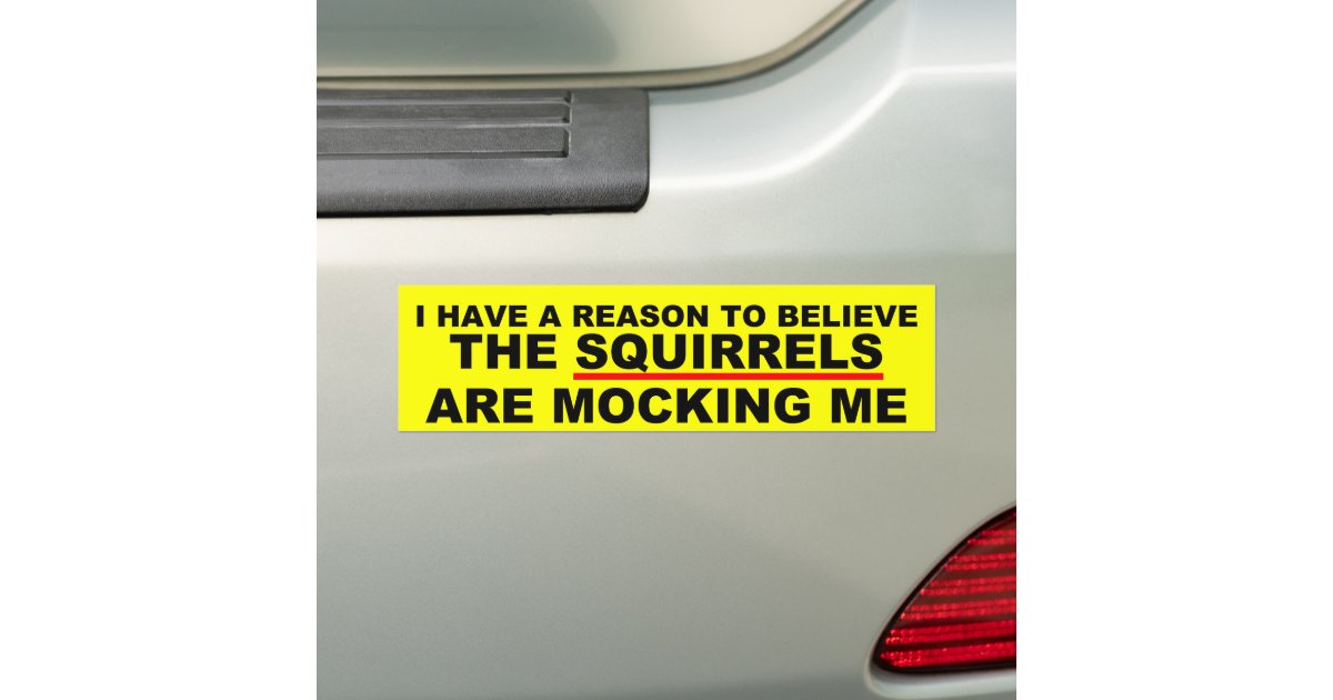 Funny squirrel joke bumper sticker | Zazzle