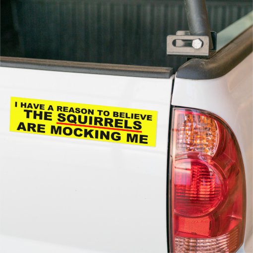 Funny squirrel joke bumper sticker | Zazzle