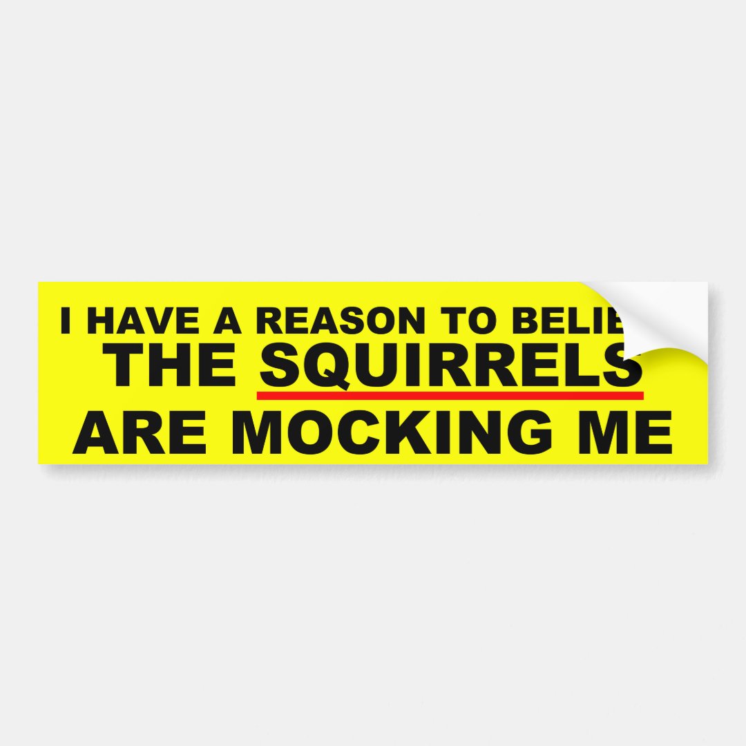 Funny squirrel joke bumper sticker | Zazzle