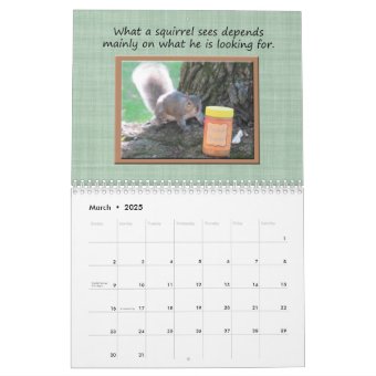 Funny Squirrel Just Plain Nutz Calendar | Zazzle