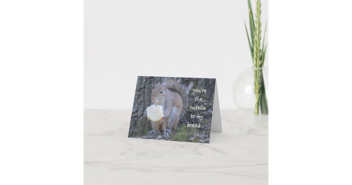 Funny Squirrel, nutella to my bread, miss you card | Zazzle