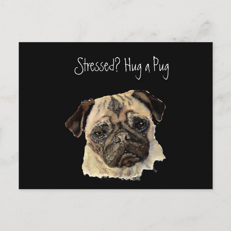 Funny, Stressed? Hug a Pug!, Dog, Pet, Animal Postcard | Zazzle