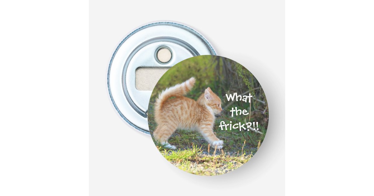 Funny Surprised Ginger Kitten. What the frick? Bottle Opener | Zazzle