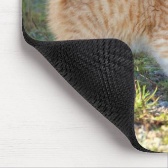 Funny Surprised Ginger Kitten. What the frick? Mouse Pad | Zazzle