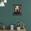 Funny Suspish Dog Meme Poster | Zazzle