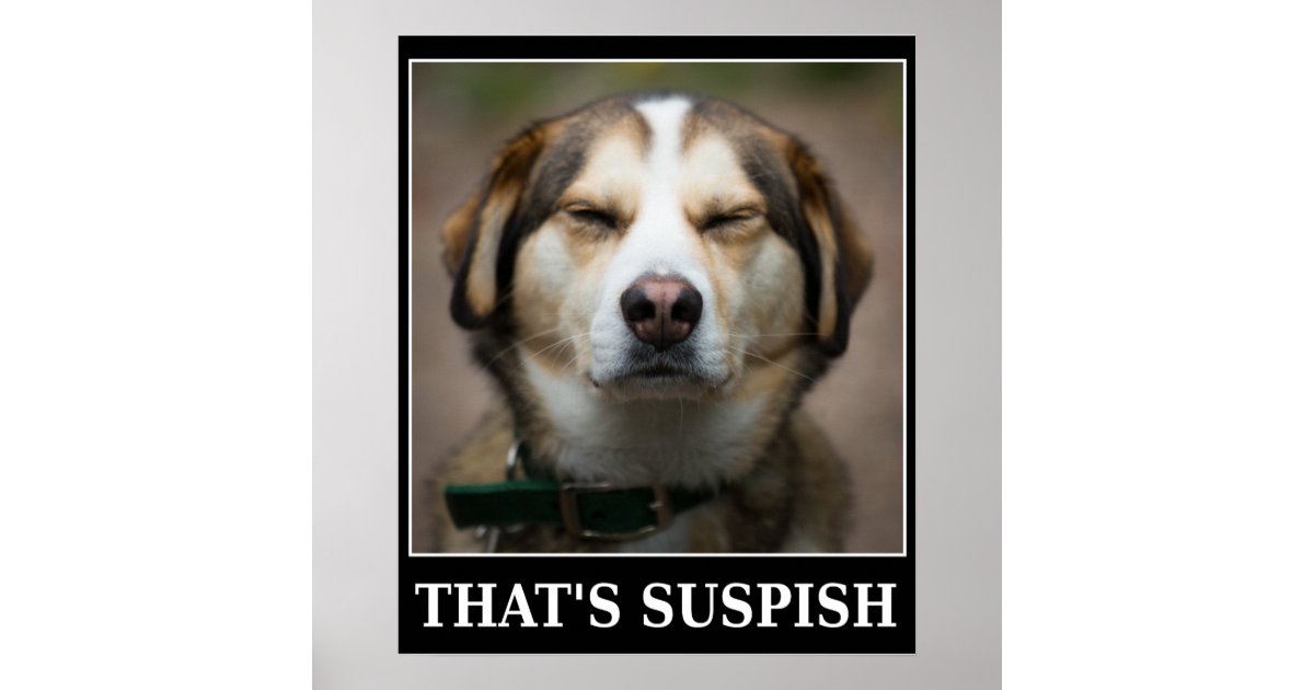 Funny Suspish Dog Meme Poster | Zazzle