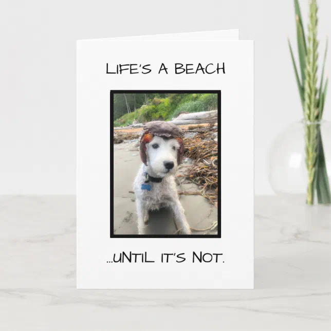 FUNNY SYMPATHY CARD | Zazzle