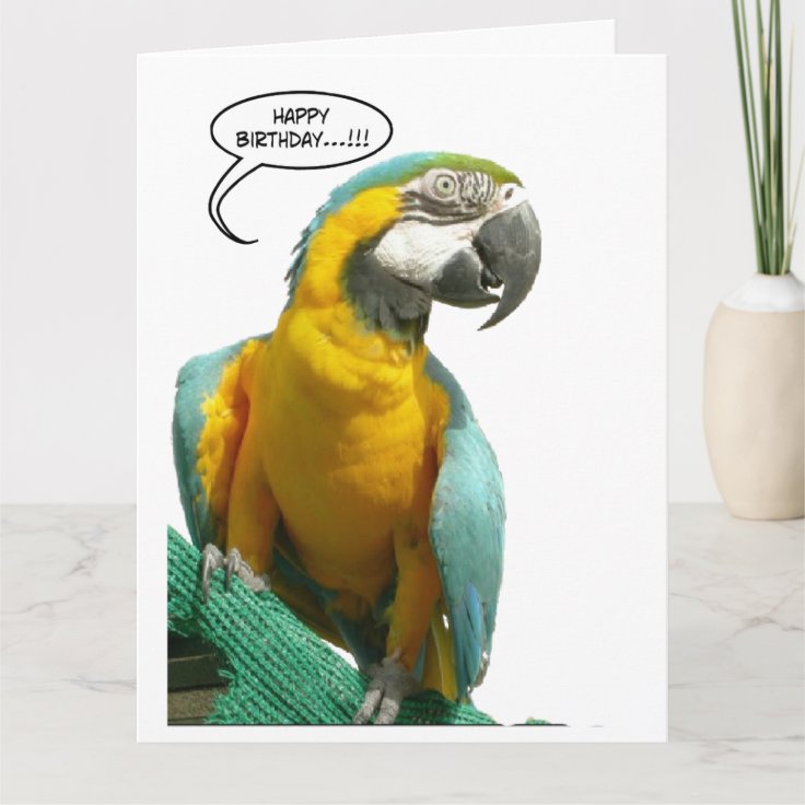 Funny Talking Parrot Birthday Big Greeting Card | Zazzle
