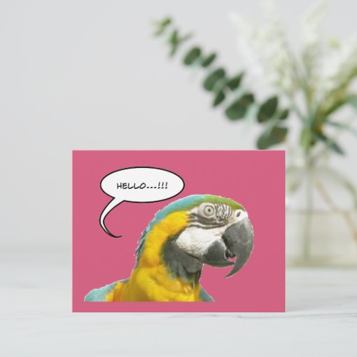 Funny Talking Parrot Hello Postcard | Zazzle