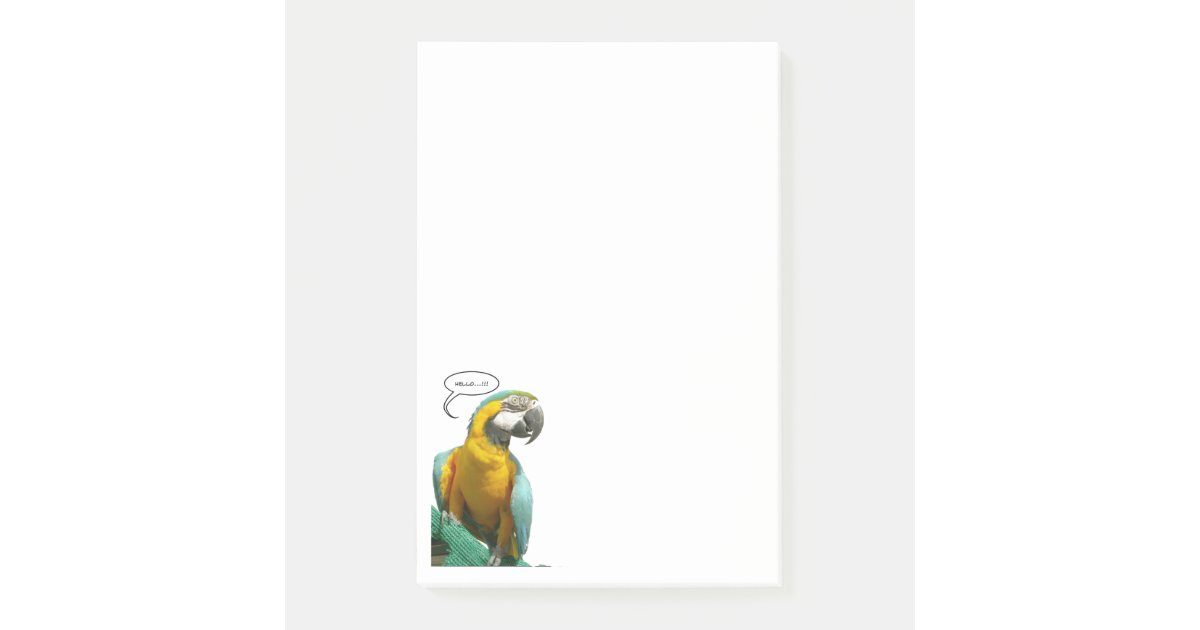 Funny Talking Parrot Notes | Zazzle