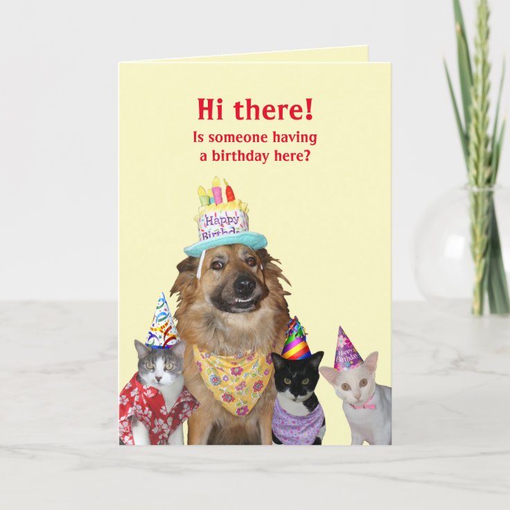 Funny Template for Birthday | Zazzle