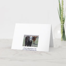 Funny Thank You — Cow Animal Humor — Ranch | Zazzle