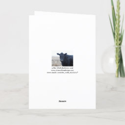 Funny Thank You Cute Black Cattle Cow | Zazzle