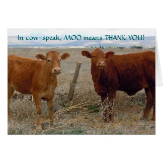 Cattle Thank You Cards | Zazzle