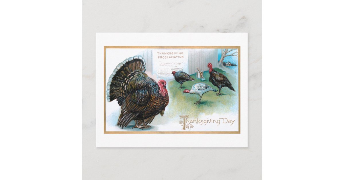 Funny Thanksgiving Turkeys Reading Proclamation Postcard | Zazzle