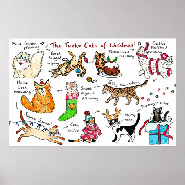 Funny The Twelve Cats Of Christmas Poster | Zazzle