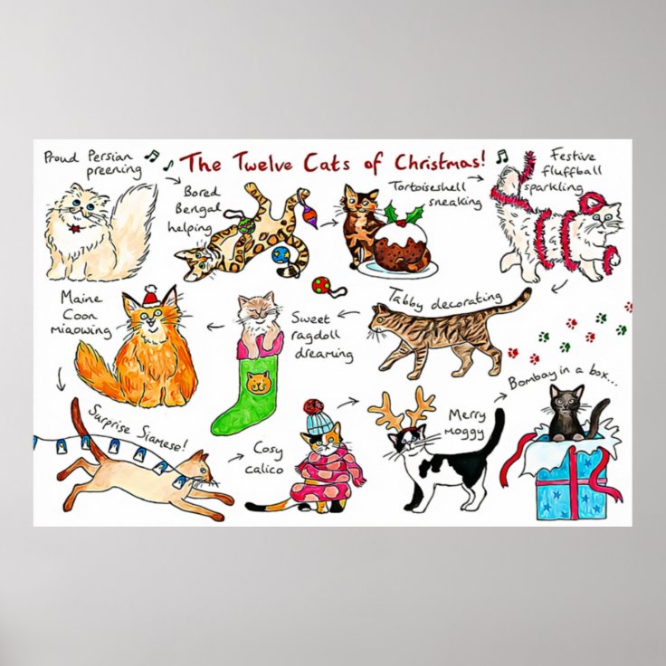 Funny The Twelve Cats Of Christmas Poster | Zazzle