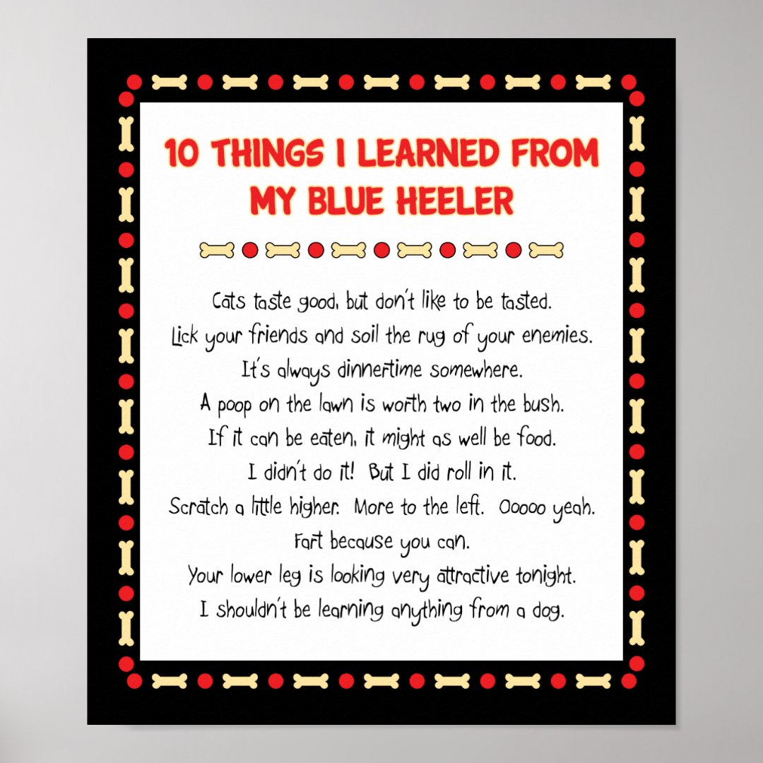 Funny Things I Learned From My Blue Heeler Poster | Zazzle