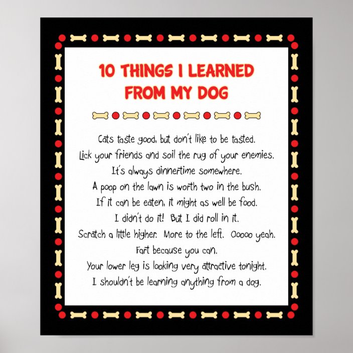 Funny Things I Learned From My Dog Poster | Zazzle.com