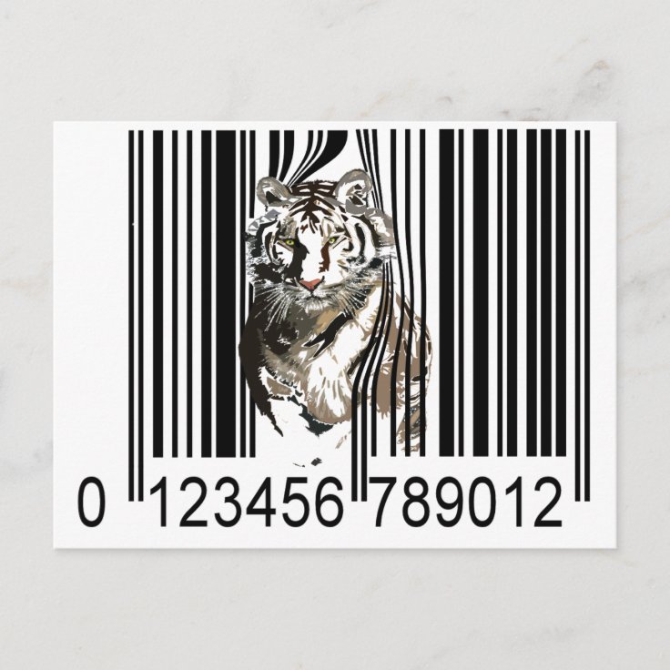 Funny tiger barcode vector postcard | Zazzle