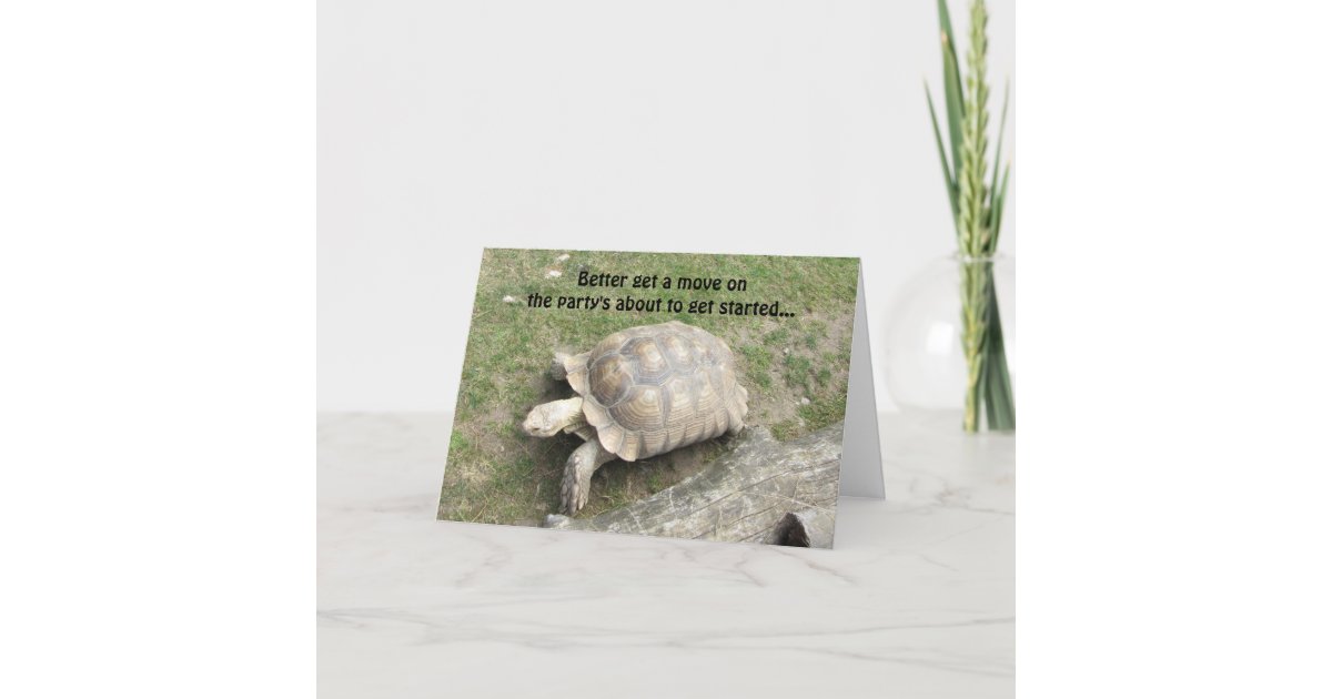Funny Turtle Birthday Card | Zazzle