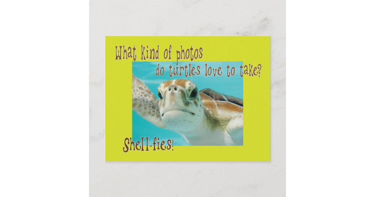 Funny turtle riddle for kids postcard | Zazzle