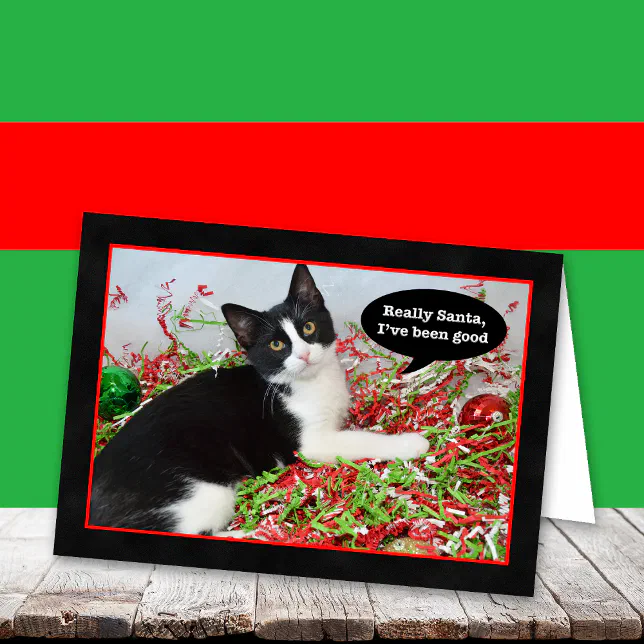 Funny Tuxedo Kitten Cat Christmas Card | Zazzle